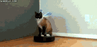 Irobot GIFs - Get the best gif on GIFER