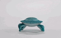 Mollusk GIFs - Get the best gif on GIFER