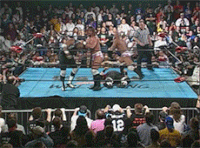 Unstable GIFs - Get the best gif on GIFER