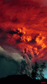 Yellowstone GIFs - Get the best gif on GIFER