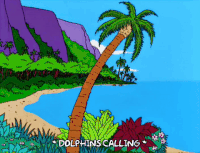 Ile GIFs - Get the best gif on GIFER