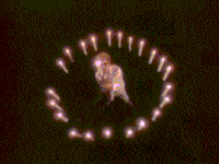 Sting GIFs - Get the best gif on GIFER