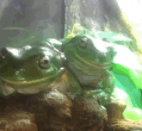 Bronwyn lundberg GIFs - Get the best gif on GIFER