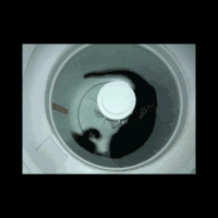 Relativity GIFs - Get the best gif on GIFER