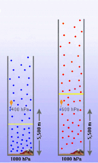 Давление GIFs - Get the best gif on GIFER