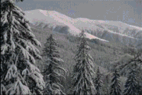 Romania GIFs - Get the best gif on GIFER