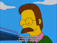 Todd GIFs - Get the best gif on GIFER