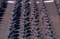 Russ meyer GIFs - Hole dir die besten GIFs auf GIFER