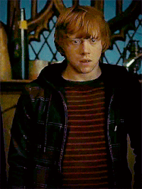 Ron GIFs - Get the best gif on GIFER