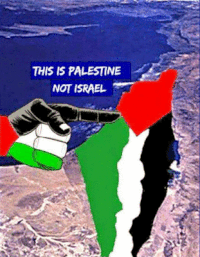 Judaism GIFs - Get the best gif on GIFER