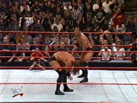 Wwf гифки, анимированные GIF изображения wwf - скачать гиф картинки на ...