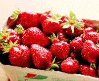 Fruta GIFs - Get the best gif on GIFER