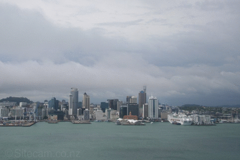 Auckland GIFs - Get the best gif on GIFER