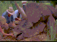 Historia 101 GIF - Conseguir el mejor gif en GIFER