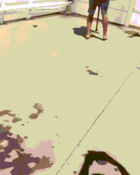 Fledermaus GIFs - Hole dir die besten GIFs auf GIFER