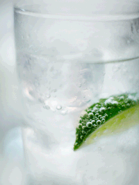 Limes GIFs - Get the best gif on GIFER