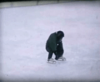 Chimpanzees GIFs - Get the best gif on GIFER