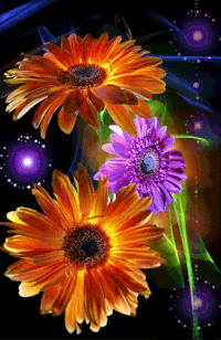 Bouquet GIFs - Get the best gif on GIFER