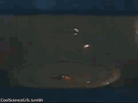 States of matter GIFs - Get the best gif on GIFER