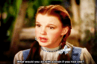 Oz GIFs - Get the best gif on GIFER