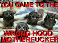 Uhu GIFs - Get the best gif on GIFER