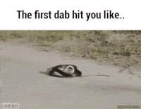 Dab of ranch GIF - Conseguir o melhor gif em GIFER