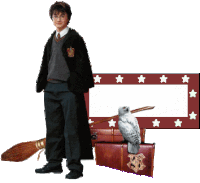 Hedwig GIFs - Get the best gif on GIFER