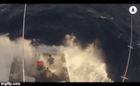 Thon GIFs - Get the best gif on GIFER