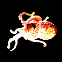 Cthulhu GIFs - Get the best gif on GIFER