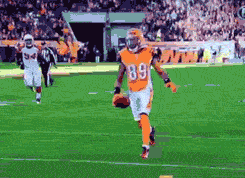Touchdown GIFs - Get the best gif on GIFER