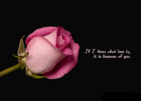 Cause GIFs - Get the best gif on GIFER