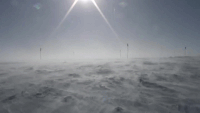 Antarctica GIFs - Get the best gif on GIFER