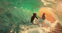 Surf GIFs - Get the best gif on GIFER