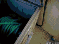 Hose GIFs - Get the best gif on GIFER