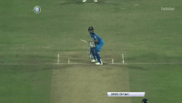 Cricket GIFs - Get the best gif on GIFER