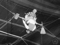 Circus GIFs - Get the best gif on GIFER