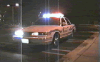 Police GIFs - Get the best gif on GIFER
