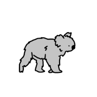 Koala GIFs - Get the best gif on GIFER