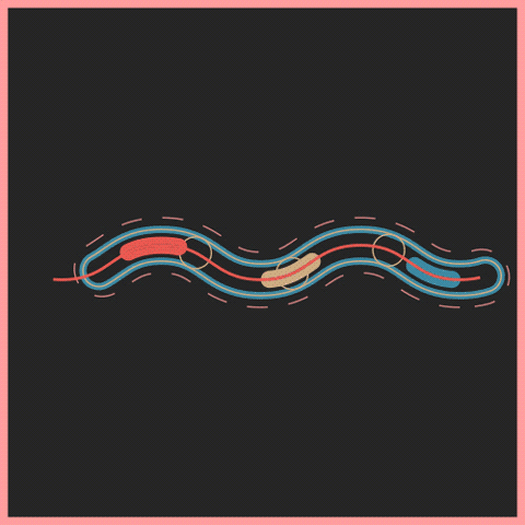 Zag GIFs - Get the best gif on GIFER