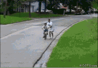 Learning GIFs - Get the best gif on GIFER