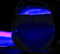 Fluorescein GIFs - Get the best gif on GIFER