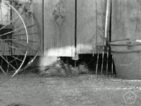 Barns GIFs - Get the best gif on GIFER