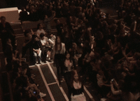 Pucci GIFs - Get the best gif on GIFER