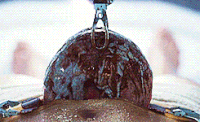 Prometheus GIFs - Get the best gif on GIFER