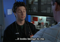 Zool GIFs - Get the best gif on GIFER