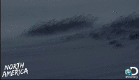 Бедствие GIFs - Get the best gif on GIFER