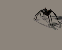 Spider GIFs - Get the best gif on GIFER