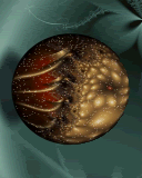 Trembles GIFs - Get the best gif on GIFER