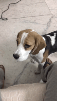 Tak GIFs - Get the best gif on GIFER