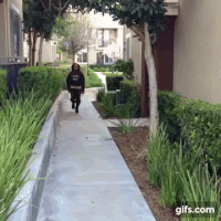 Get out running scene GIF - Conseguir el mejor gif en GIFER